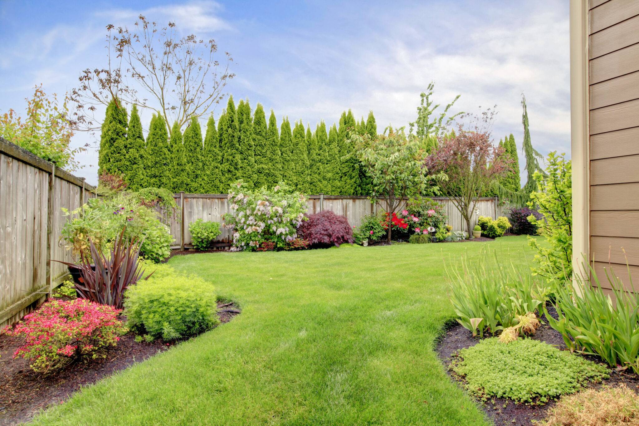 Transforming Your Yard Starts with a Well Thought Out Plan
